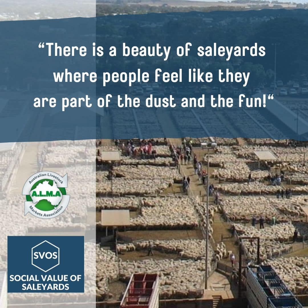 ALMA SVOS post 7 June - Saleyards Australia