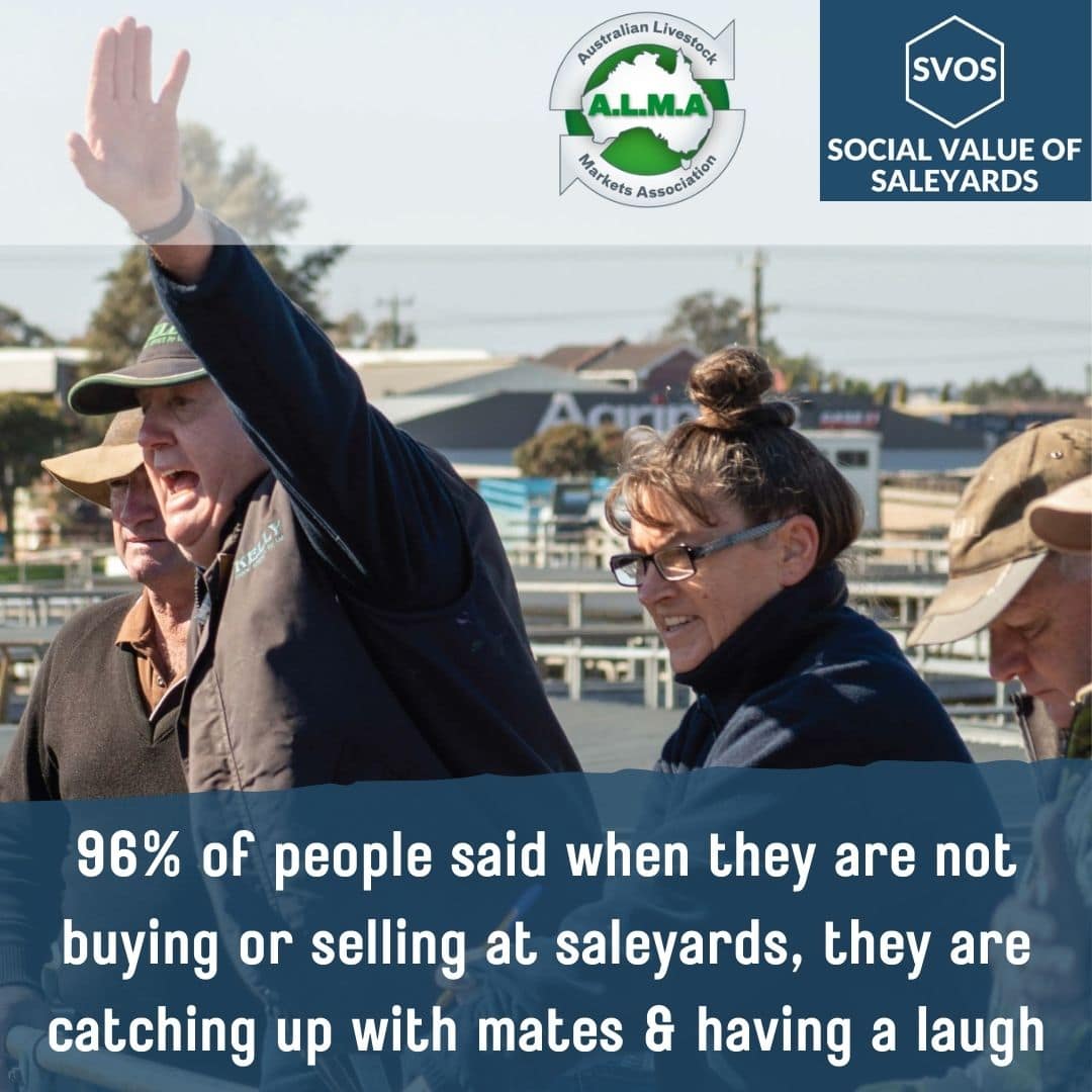 ALMA SVOS post 8 June - Saleyards Australia